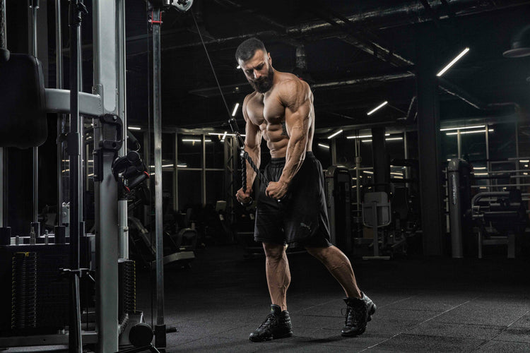 How Can I Grow My Triceps? Ask a PT – Prime Male
