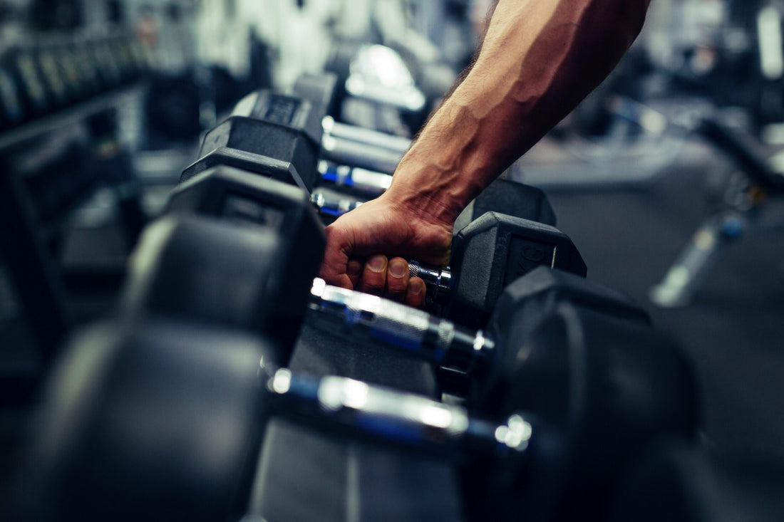 When Is the Best Time to Start a New Training Program? Ask a PT – Prime ...